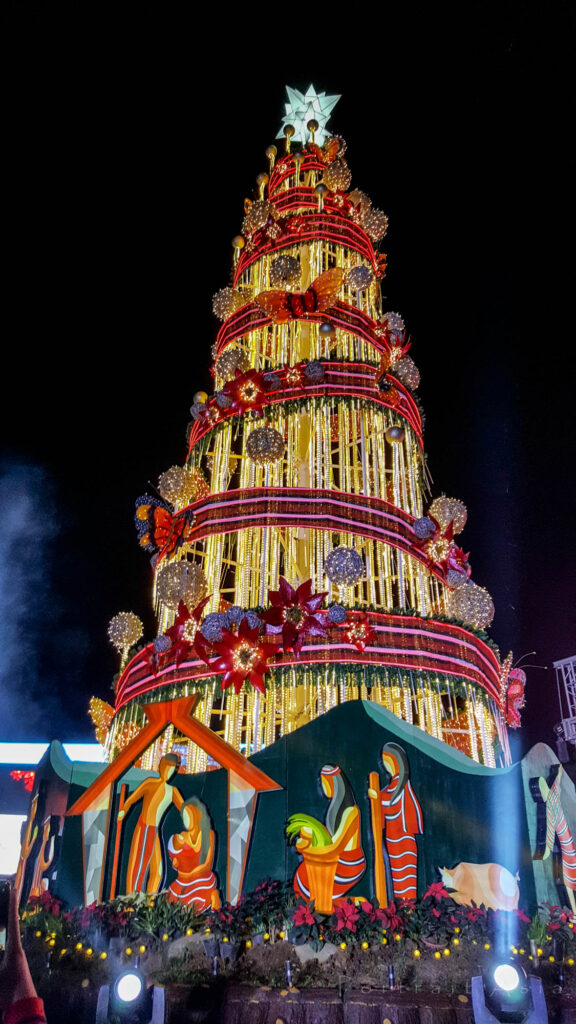 Baguio City Creative Christmas Trees – Portrait Asia
